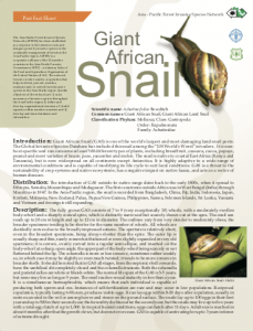 Pest Fact Sheet: Giant African Snail - Asia-Pacific Forest Invasive ...